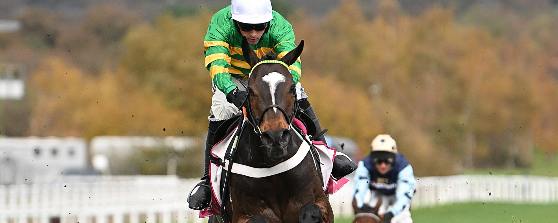 Weatherbys Racing Bank Cheltenham Preview Night 2025