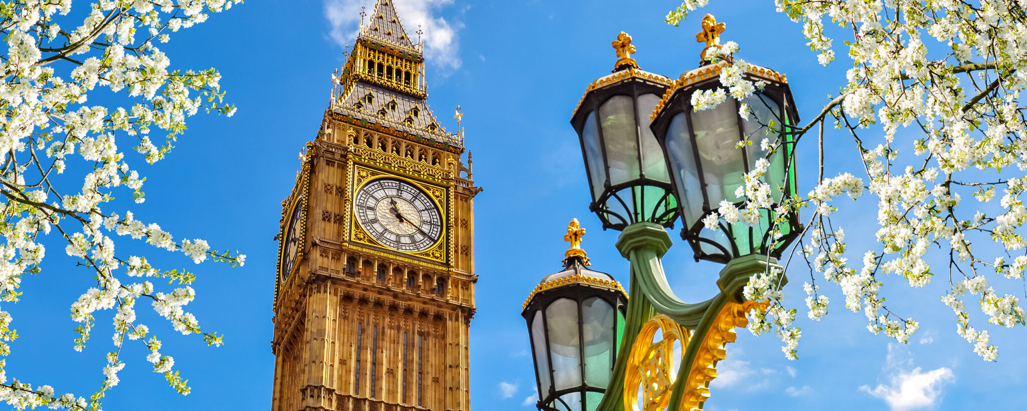 Spring Statement response - Weatherbys